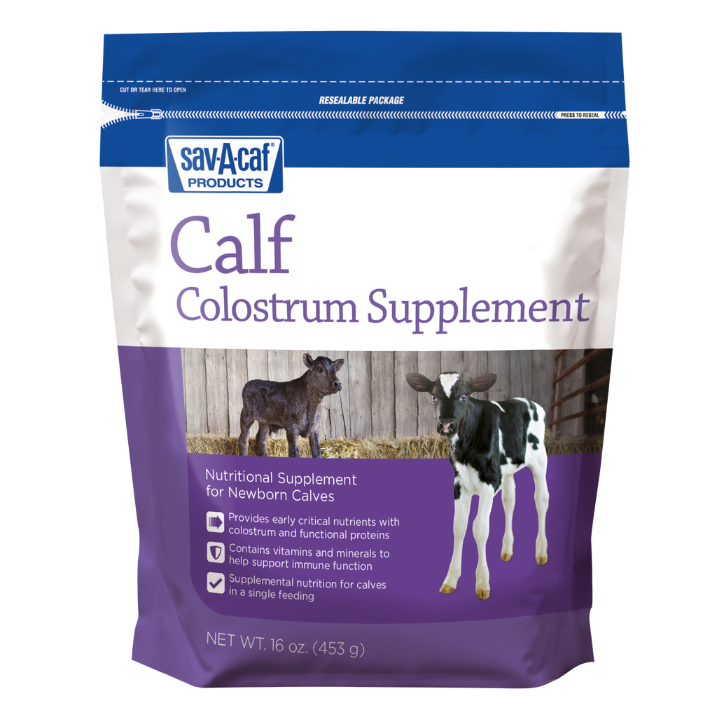 Calf Colostrum Supplement | Sav-A-Caf®